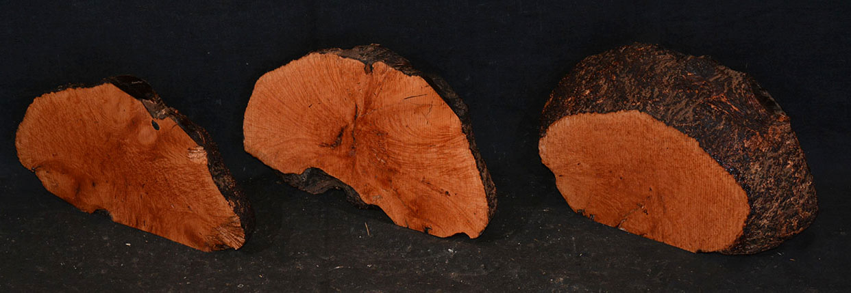 Gilmer Wood Company